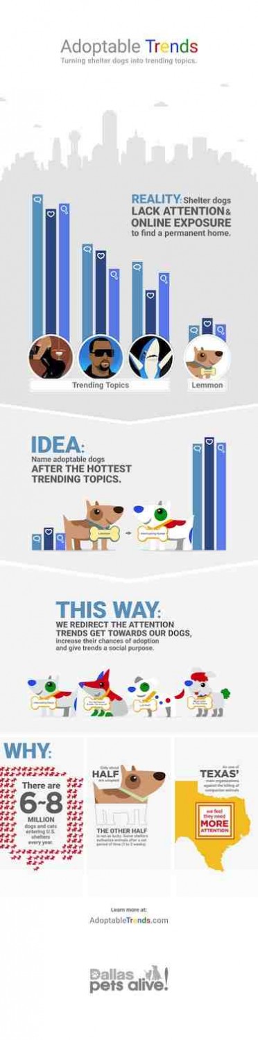 Trending Now! Adoptable Trends with Dieste